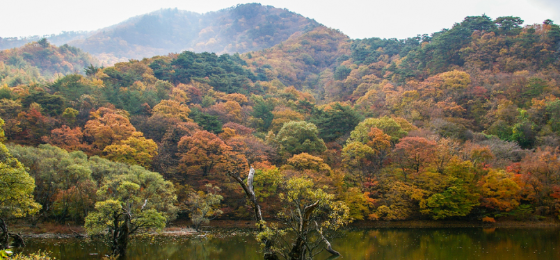 Cheongsong County | Cittaslow International
