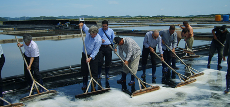 Shinan County | Cittaslow International