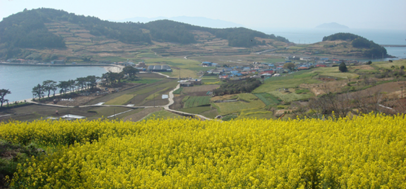 Wando County | Cittaslow International